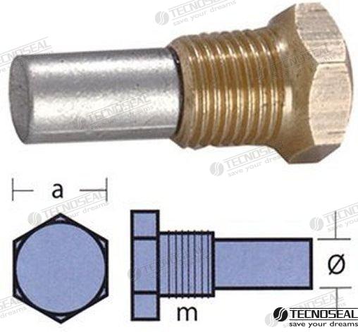 Bukh pencil anode Ø 10 L.18 complete with brass plug th.1/4'' bspt ...