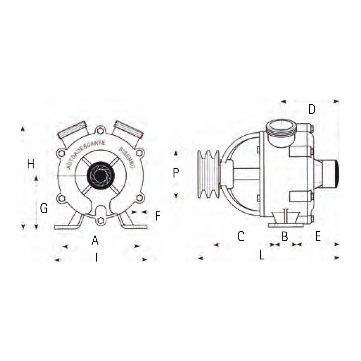 WATER PUMP 50MM – Poseidon Marine